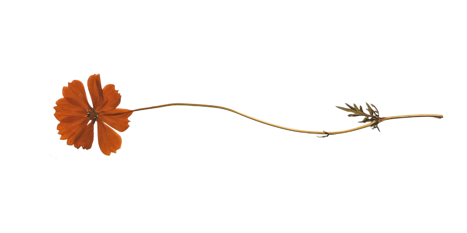 Memorial & Celebrations Of Life Services - Country Hills Crematorium ...